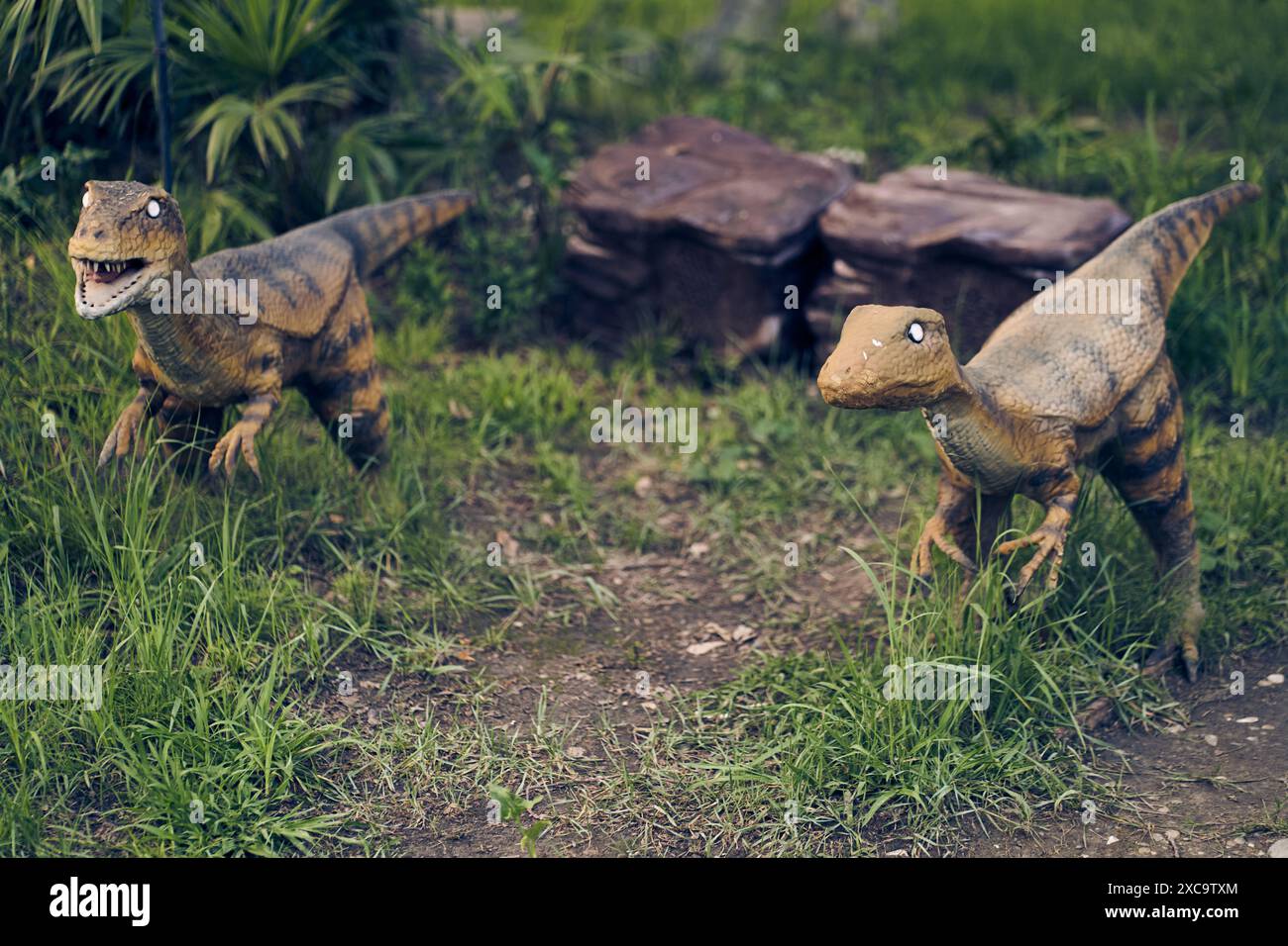 End of the cretaceous period hi-res stock photography and images - Alamy
