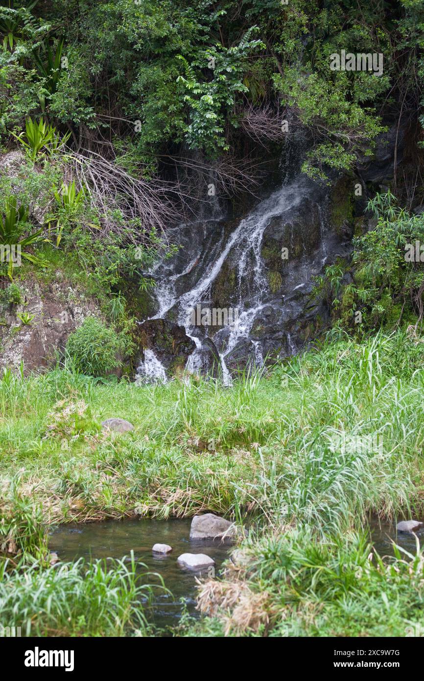 Waterfall running down a ravine surrounded with lush foliage before ...