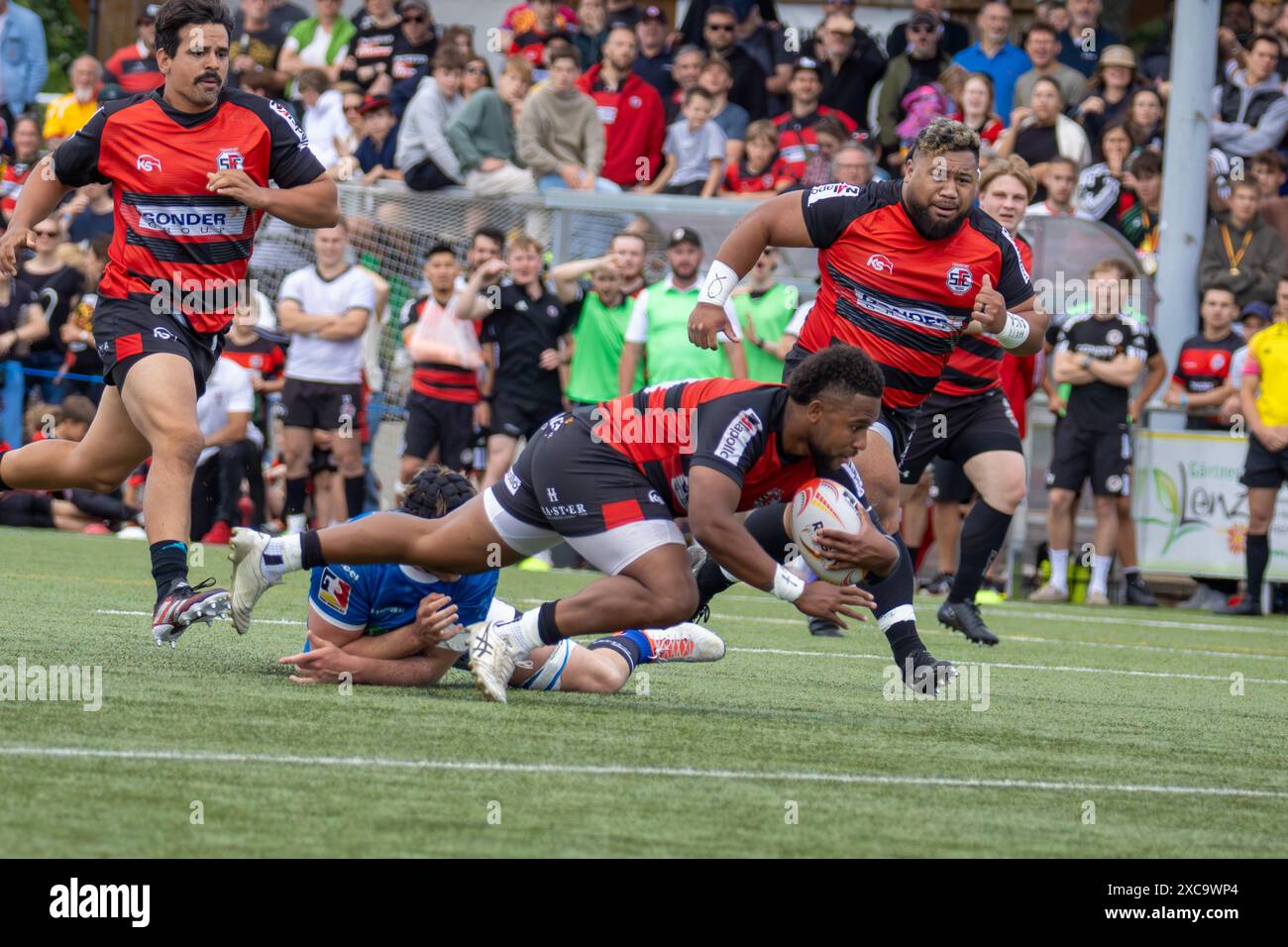 Heidelberg, 15.06.2024, Rugby 1. Bundesliga, Saison 2023/24, Finale um ...