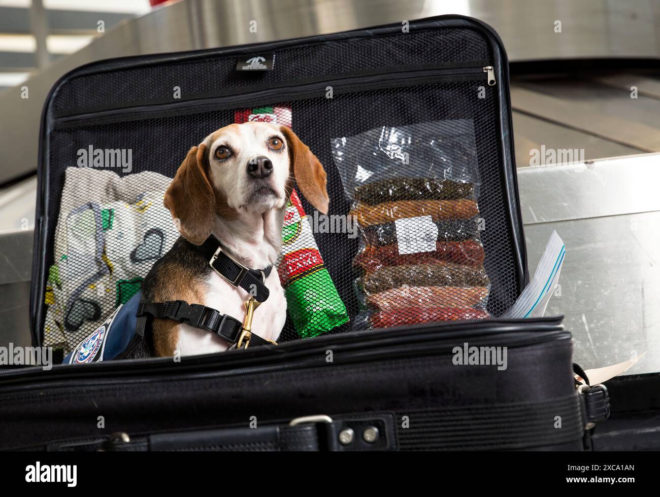 Members of the U.S. Customs and Border Protection Office of Field ...