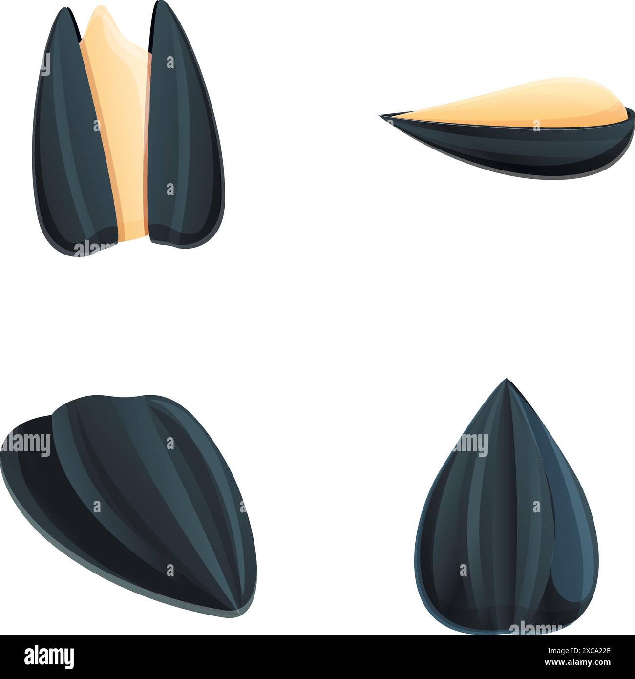 Roasted seed icons set cartoon vector. Peeled and unshelled sunflower ...