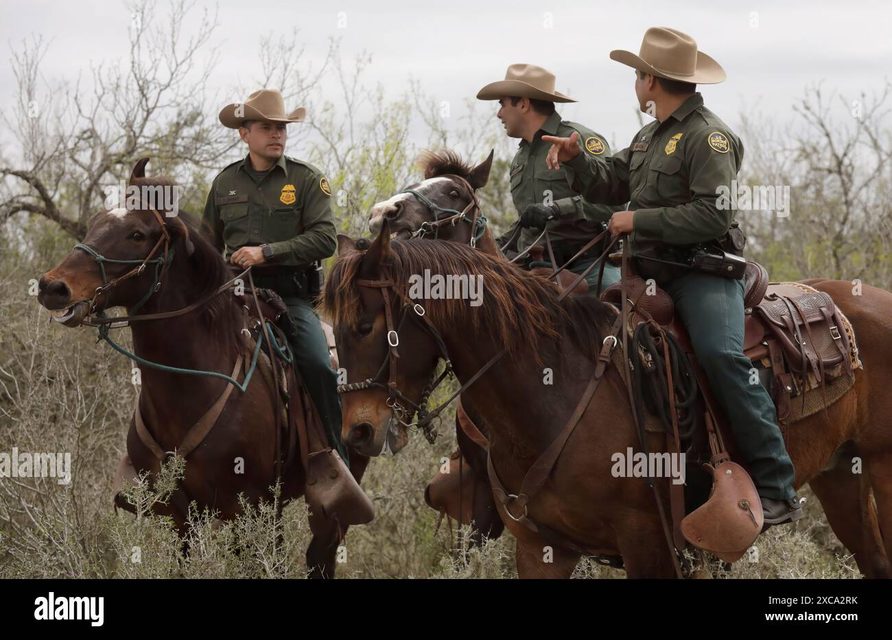 U s border patrol horse hi-res stock photography and images - Alamy
