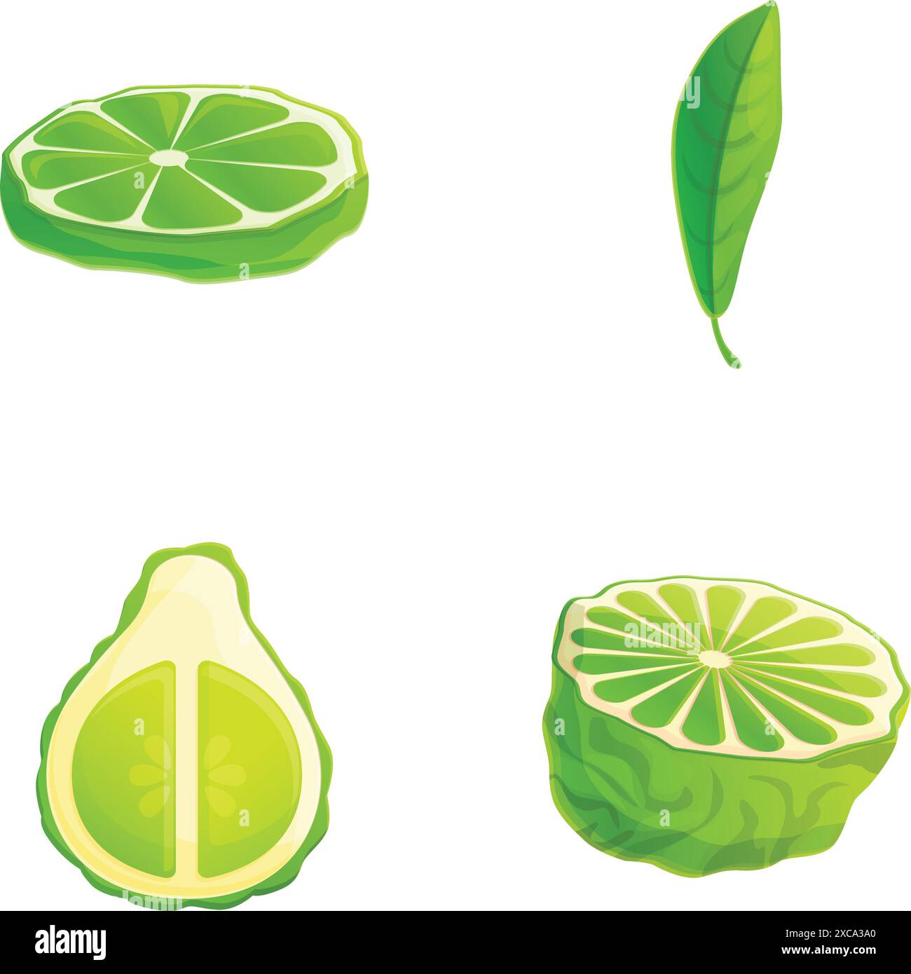 Fresh lime icons set cartoon vector. Ripe organic green citrus. Healthy ...