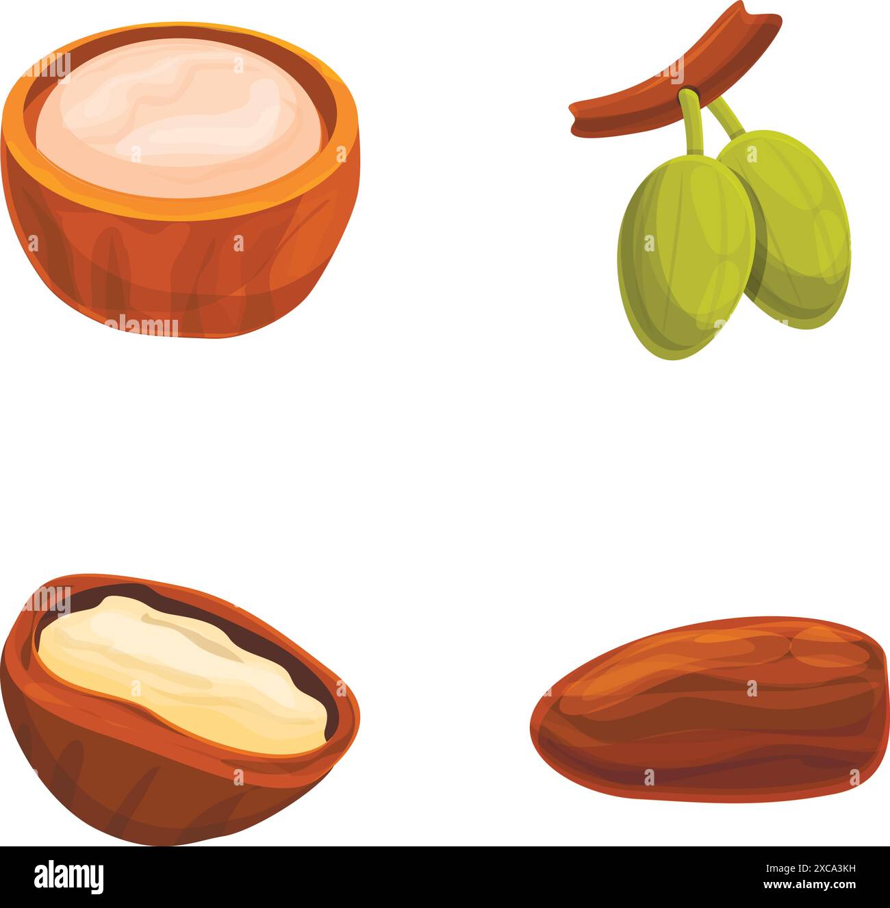 Shea butter icons set cartoon vector. Shea nut with liquid extract ...