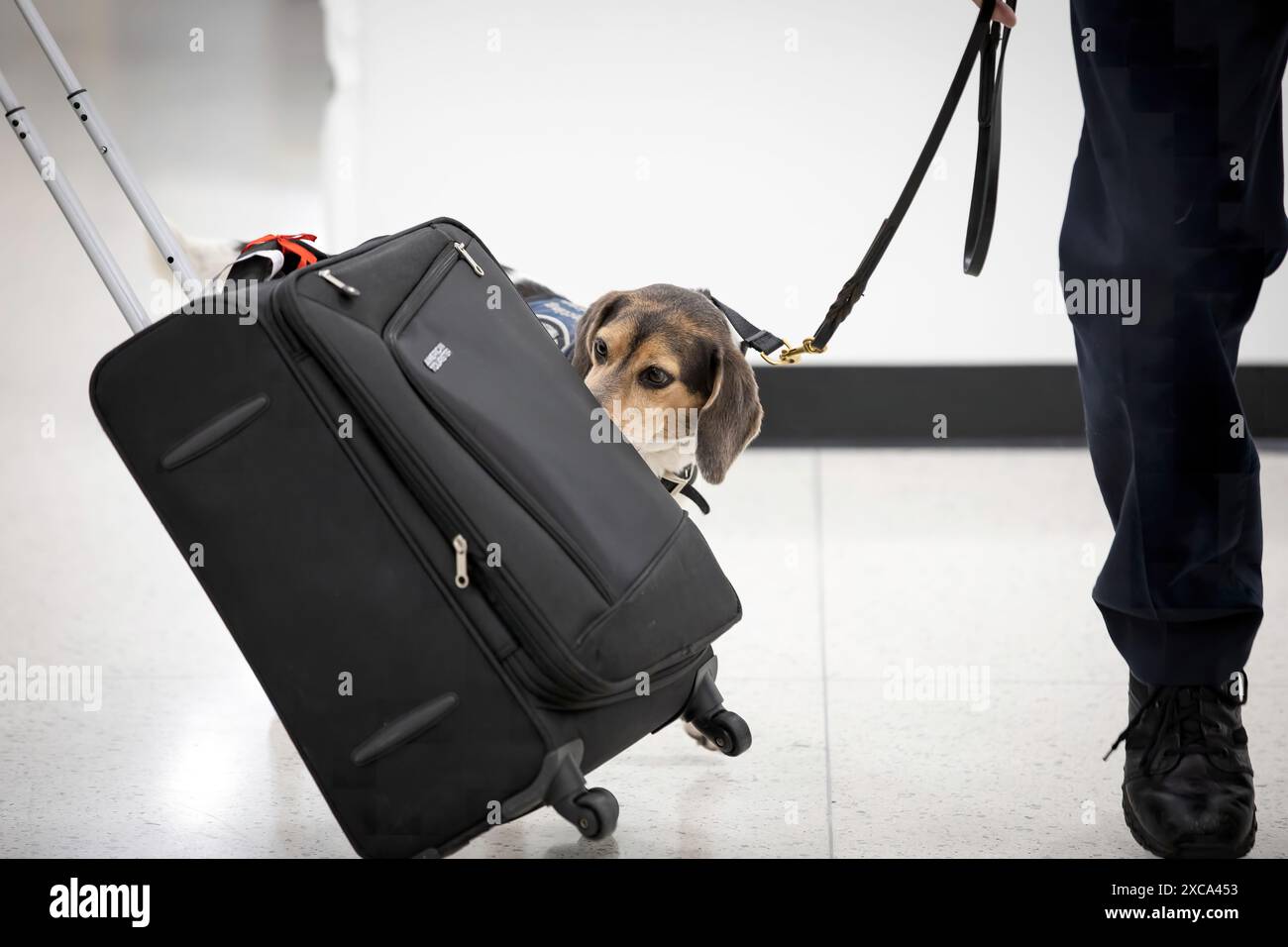 U.S. Customs and Border Protection officers ensure legal and safe ...