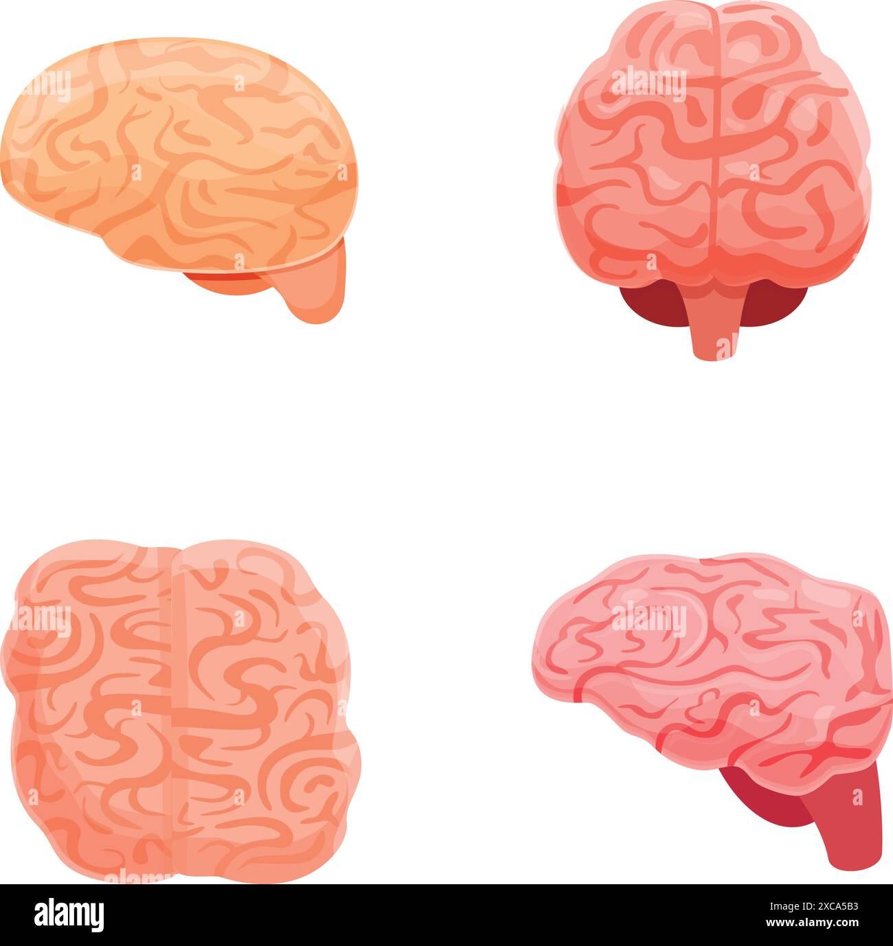 Brain organ icons set cartoon vector. Left and right hemisphere of ...