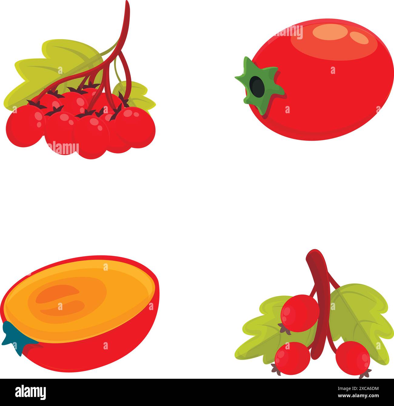 Juicy hawthorn icons set cartoon vector. Hawberry branch with red berry ...