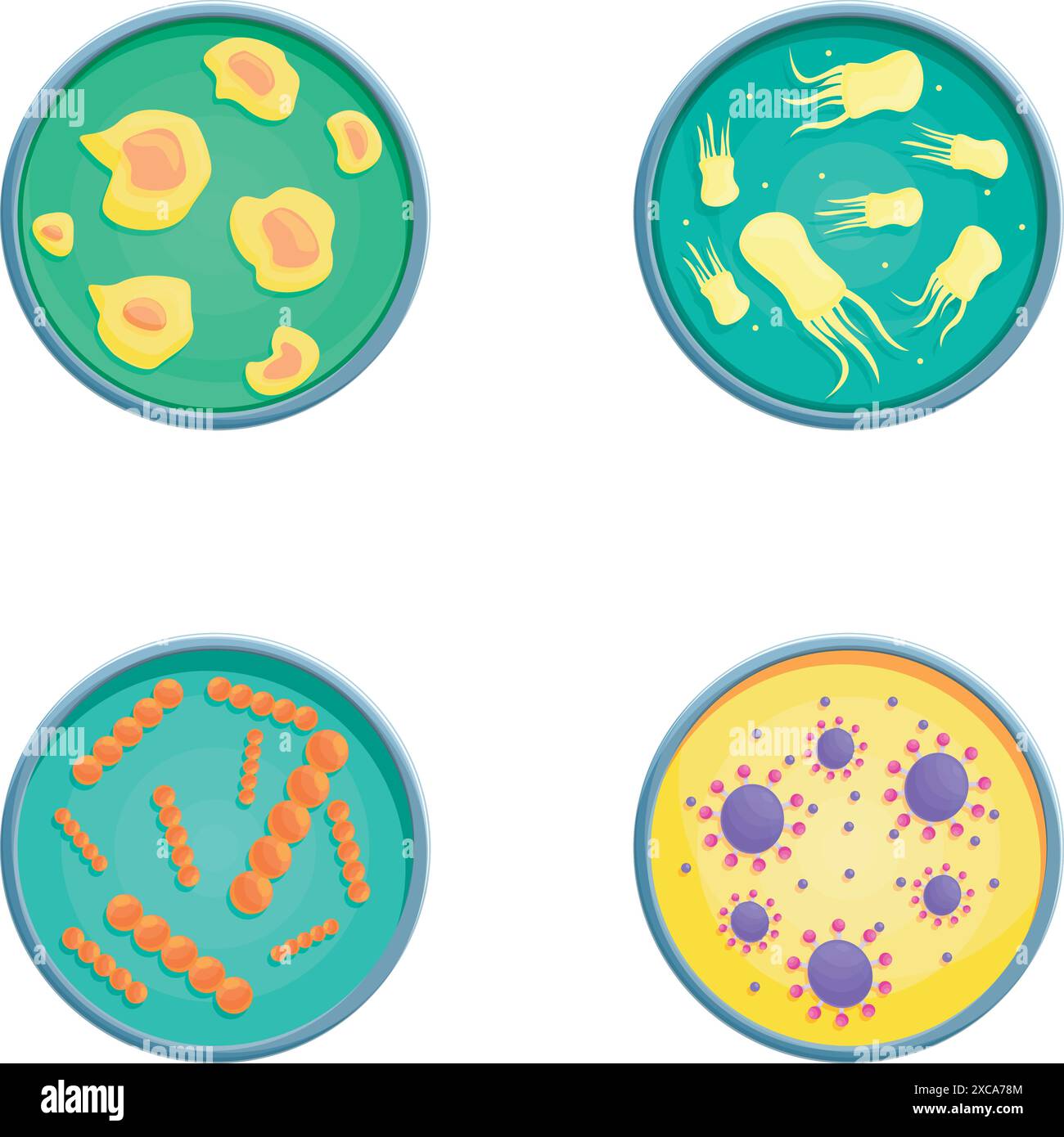 Various microorganism icons set cartoon vector. Bacteria, virus and protozoa. Microbiology ...