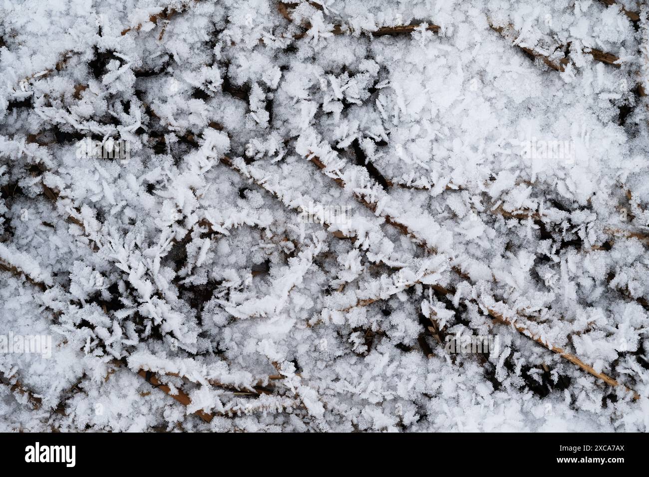 Frozen ice ground surface texture hi-res stock photography and images ...