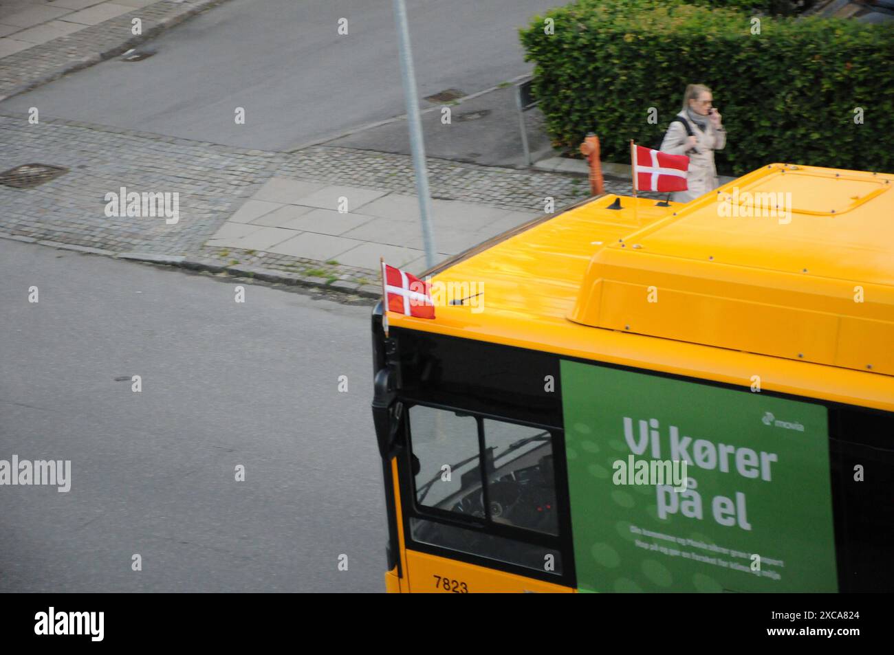 Copenhagen/ Denmark/15 JUNE 2024/On sunday danish prince Christians has ...