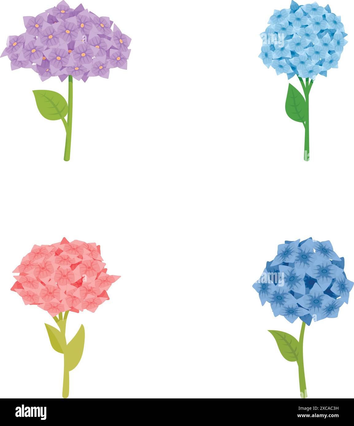 Colorful hydrangea icons set cartoon vector. Blooming hydrangea flower ...