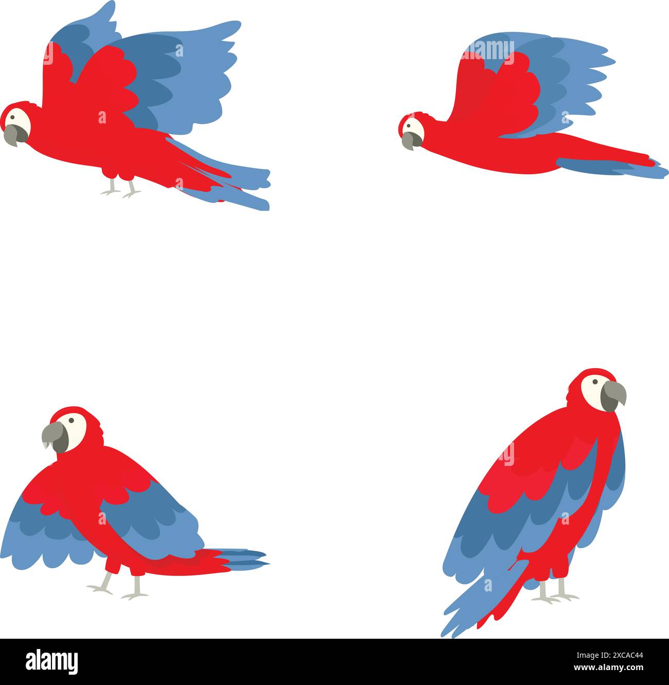 Adult scarlet macaw Stock Vector Images - Alamy