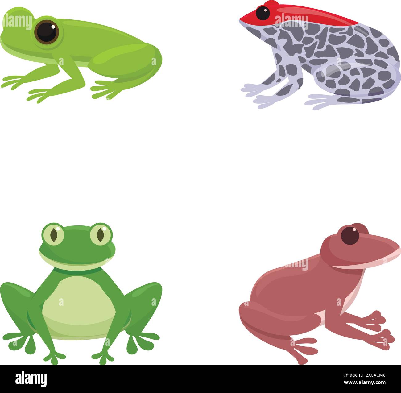 Cute frog icons set cartoon vector. Cartoon wild frog. Amphibian ...