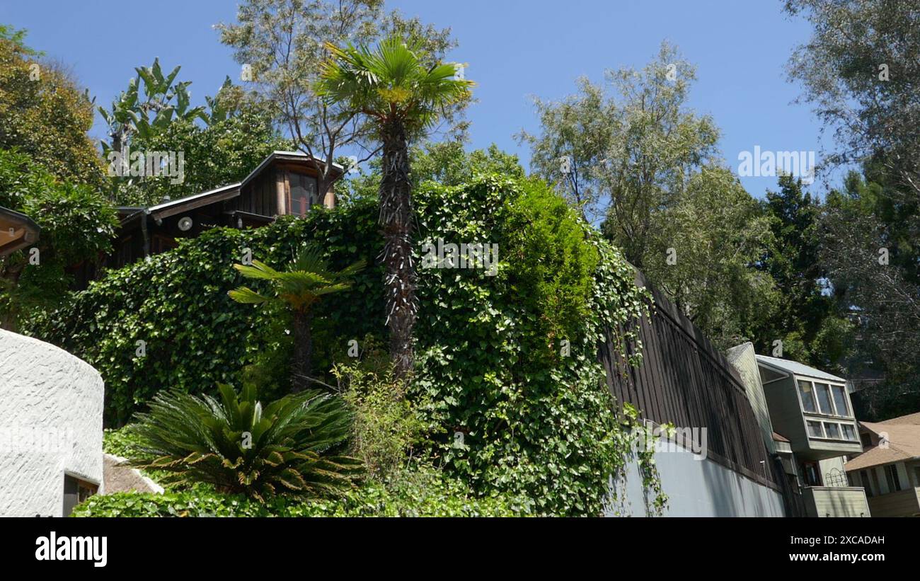 Los Angeles, California, USA 14th June 2024 Singer Orville Peck (Daniel ...