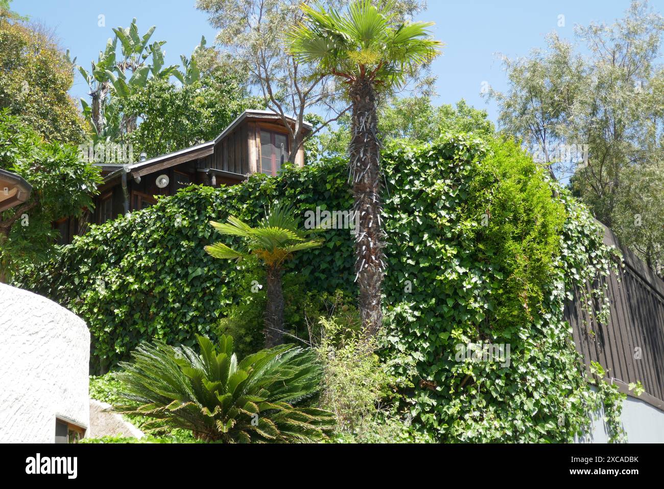 Los Angeles, California, USA 14th June 2024 Singer Orville Peck (Daniel ...
