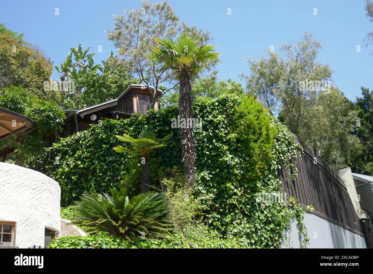 Los Angeles, California, USA 14th June 2024 Singer Orville Peck (Daniel ...