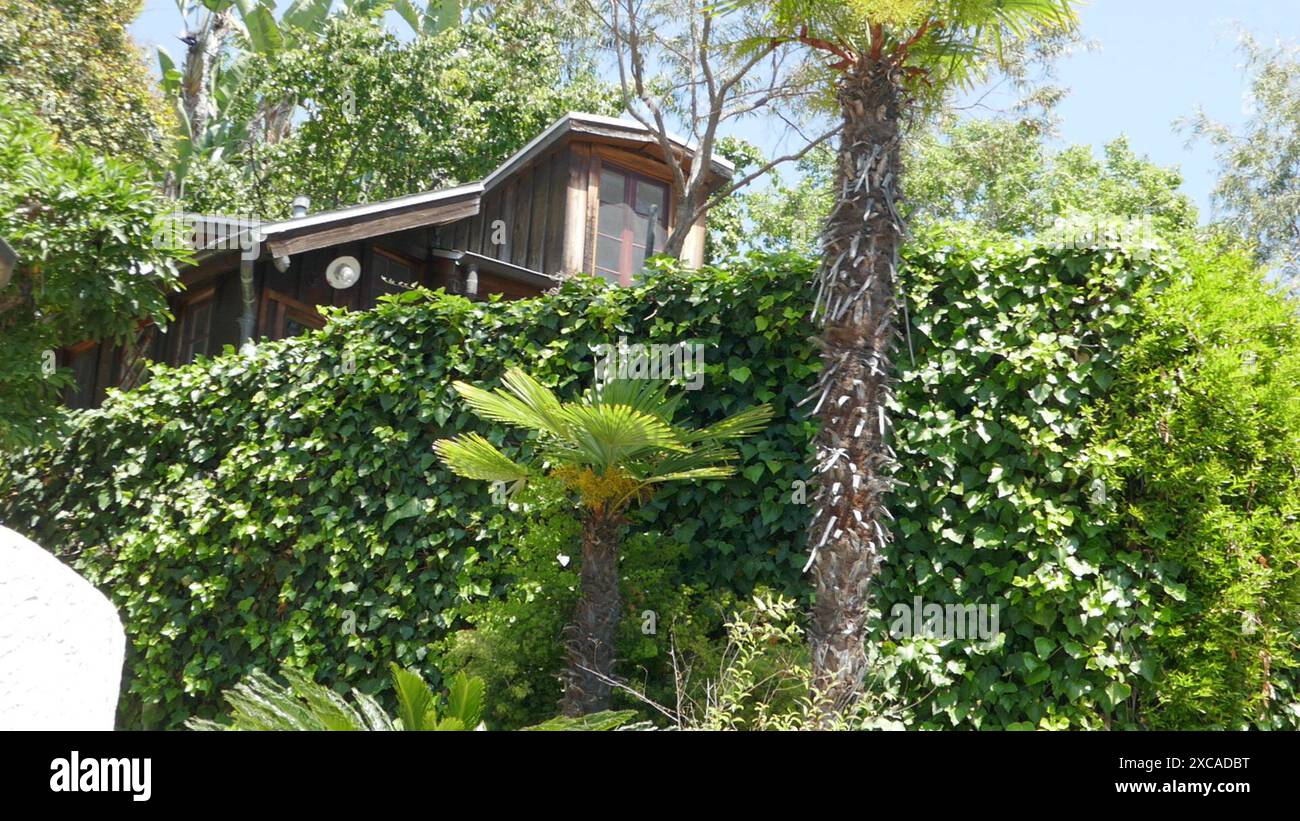 Los Angeles, California, USA 14th June 2024 Singer Orville Peck (Daniel ...