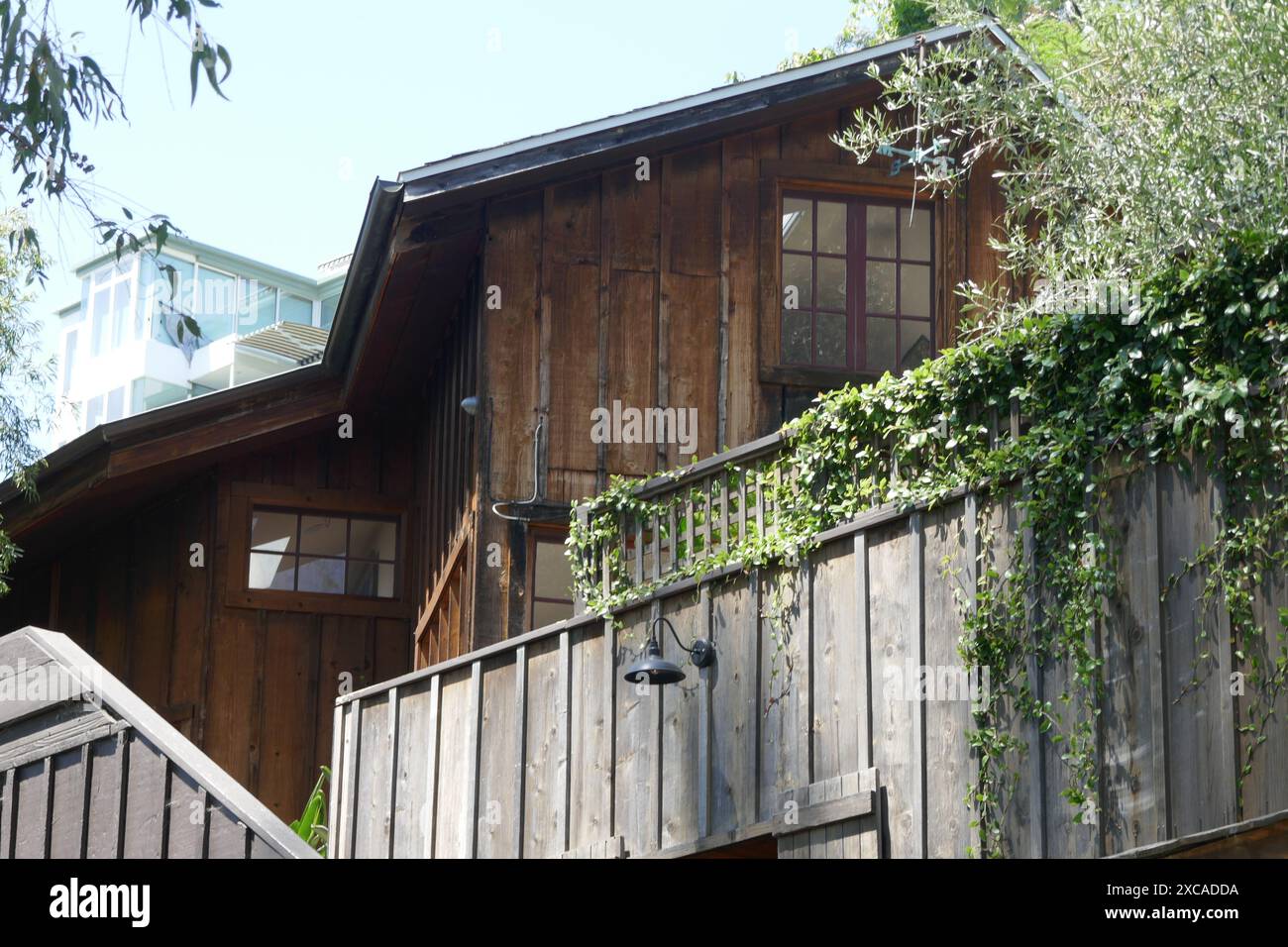 Los Angeles, California, USA 14th June 2024 Singer Orville Peck (Daniel ...