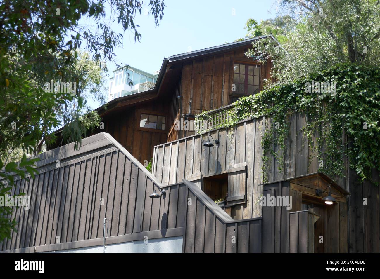 Los Angeles, California, USA 14th June 2024 Singer Orville Peck (Daniel ...
