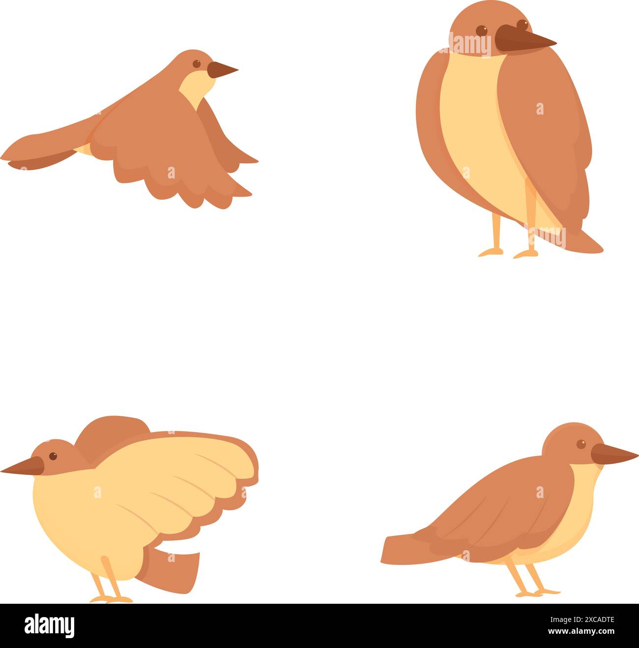 Sparrow icons set cartoon vector. Cute cheerful brown sparrow. Little ...