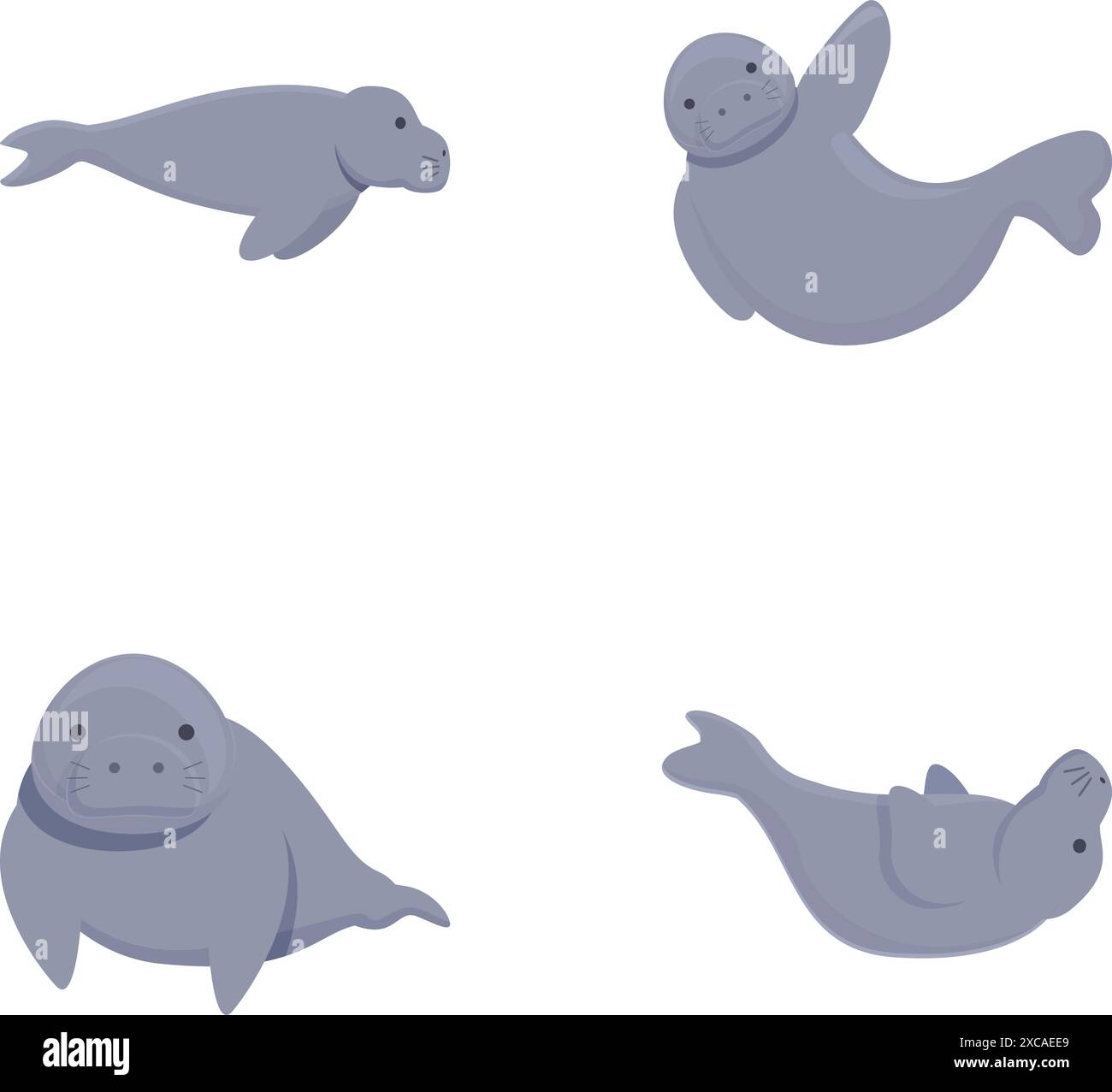 Adorable and playful cartoon seal illustrations collection for nursery ...