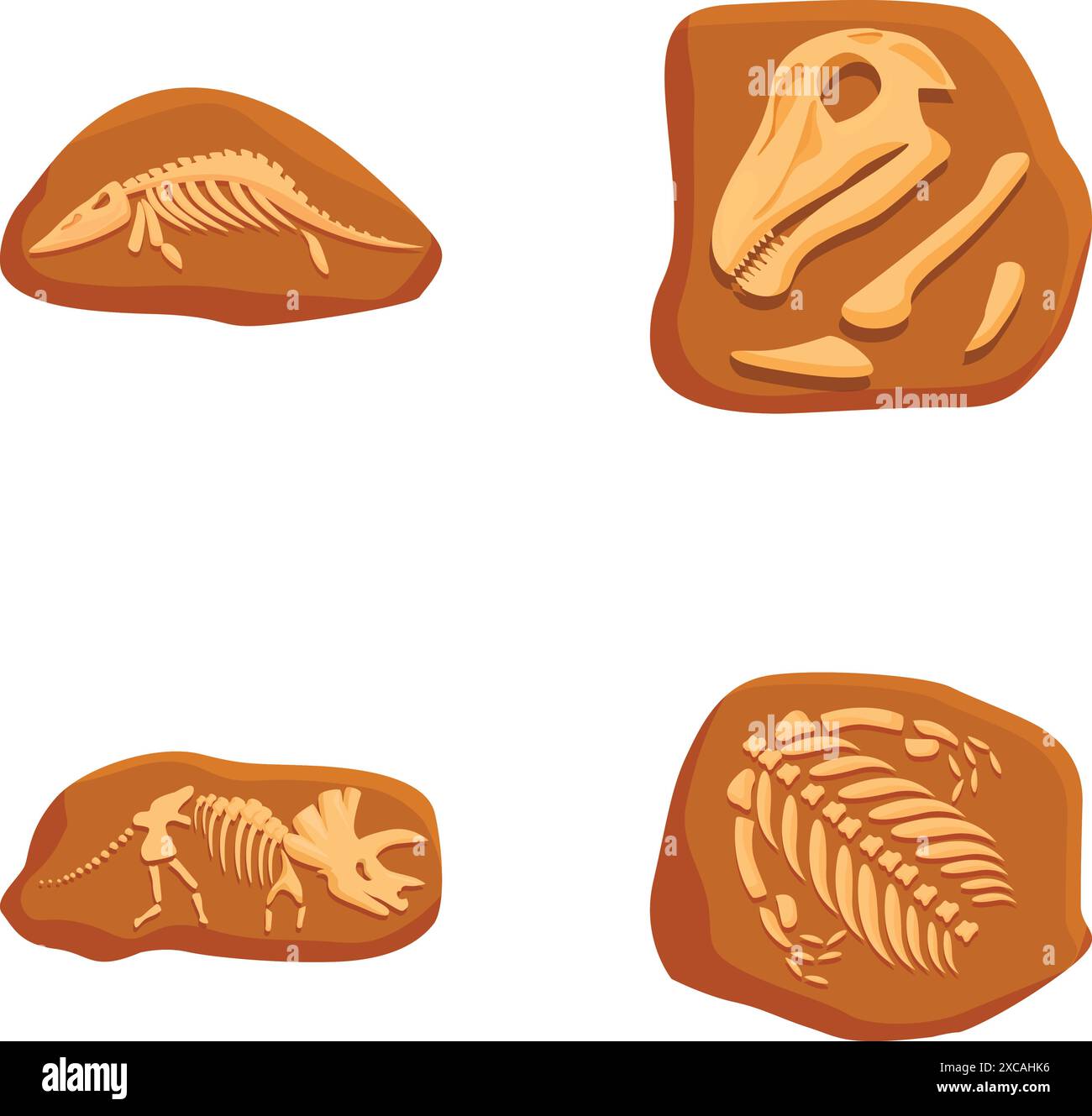 Detailed prehistoric fossil illustrations set with dinosaur bones and ...