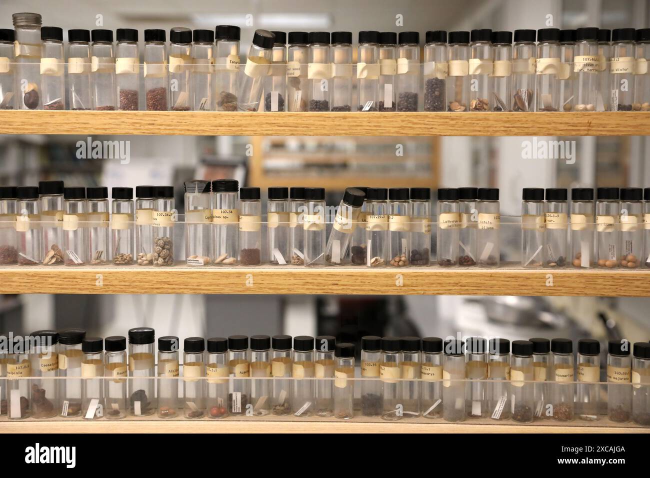 Vials of samples taken by U.S. Customs and Border Protection ...