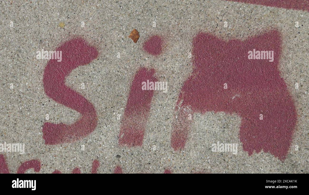 Los Angeles, California, USA 13th June 2024 Singer Sia Reasonable Woman ...