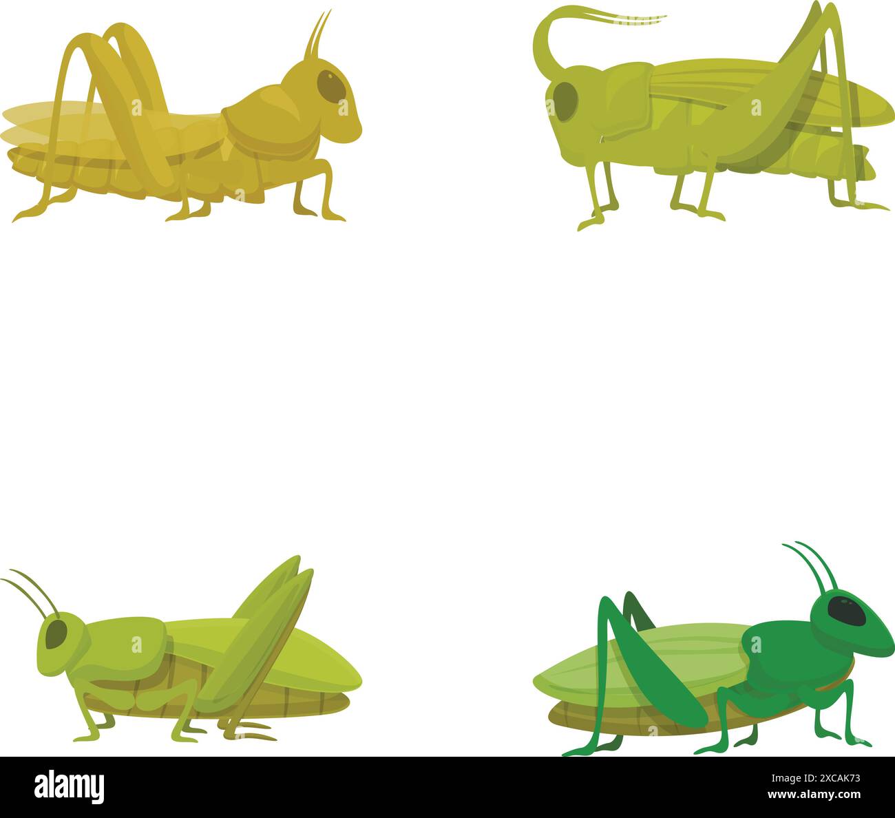 Colorful illustration of four cartoon grasshoppers on a white ...
