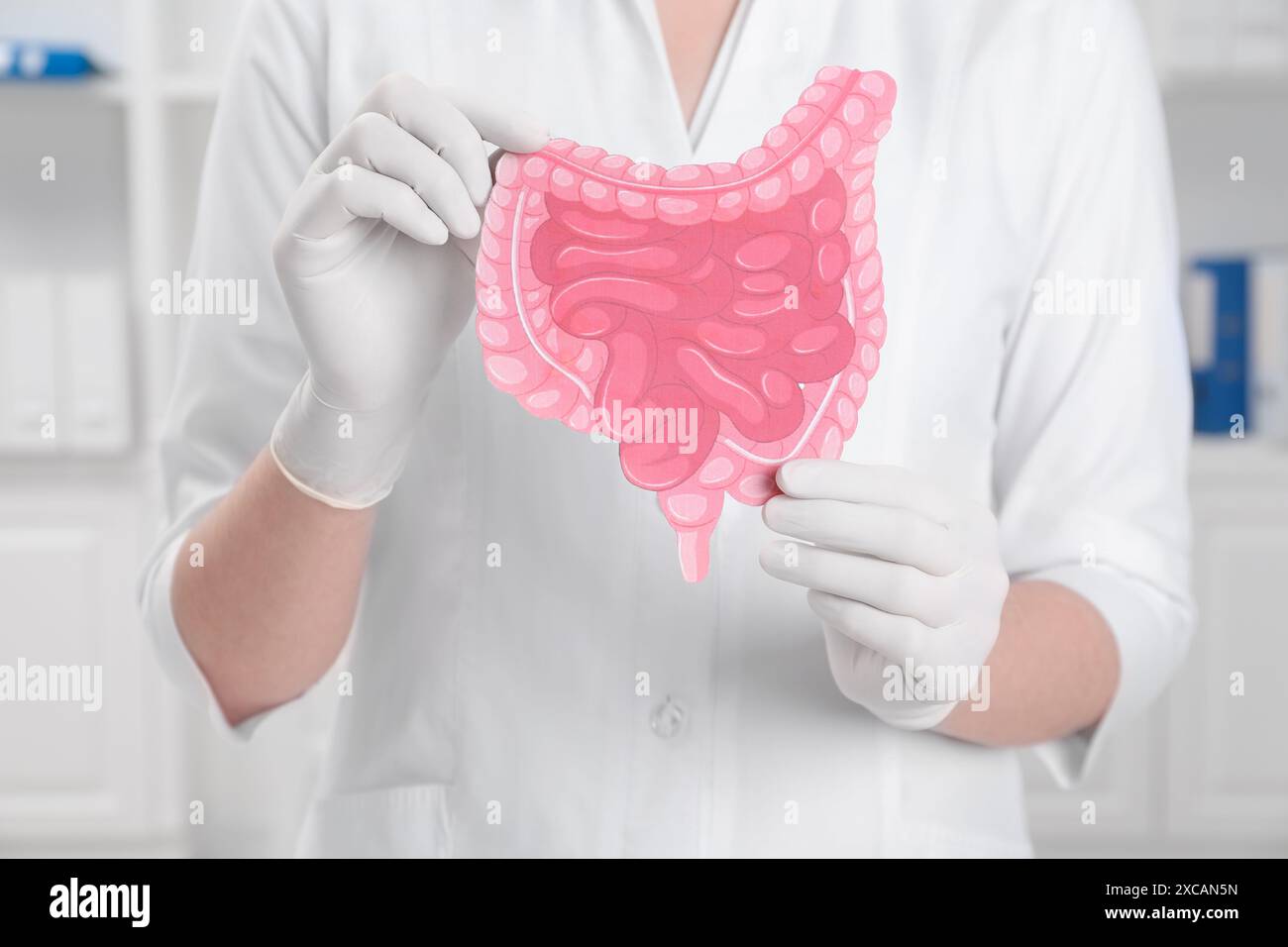 Doctor with paper intestine cutout in clinic, closeup Stock Photo - Alamy