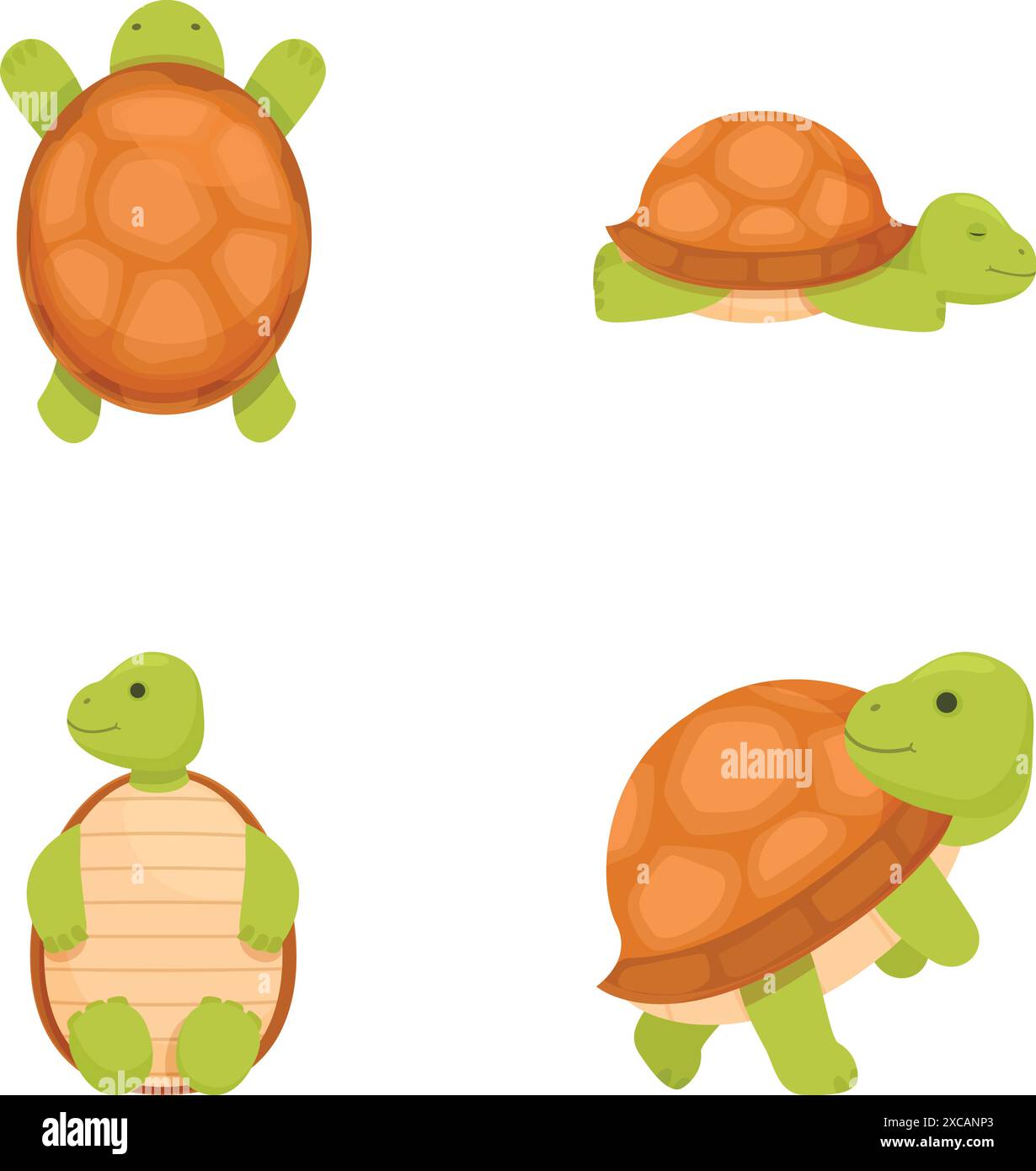 Collection of cute cartoon turtle illustrations in various poses and ...
