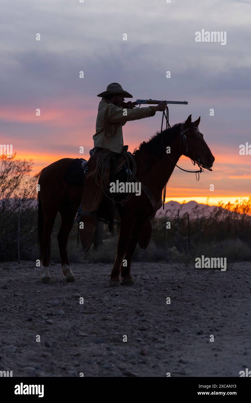 Cowboy On Horse Sunset