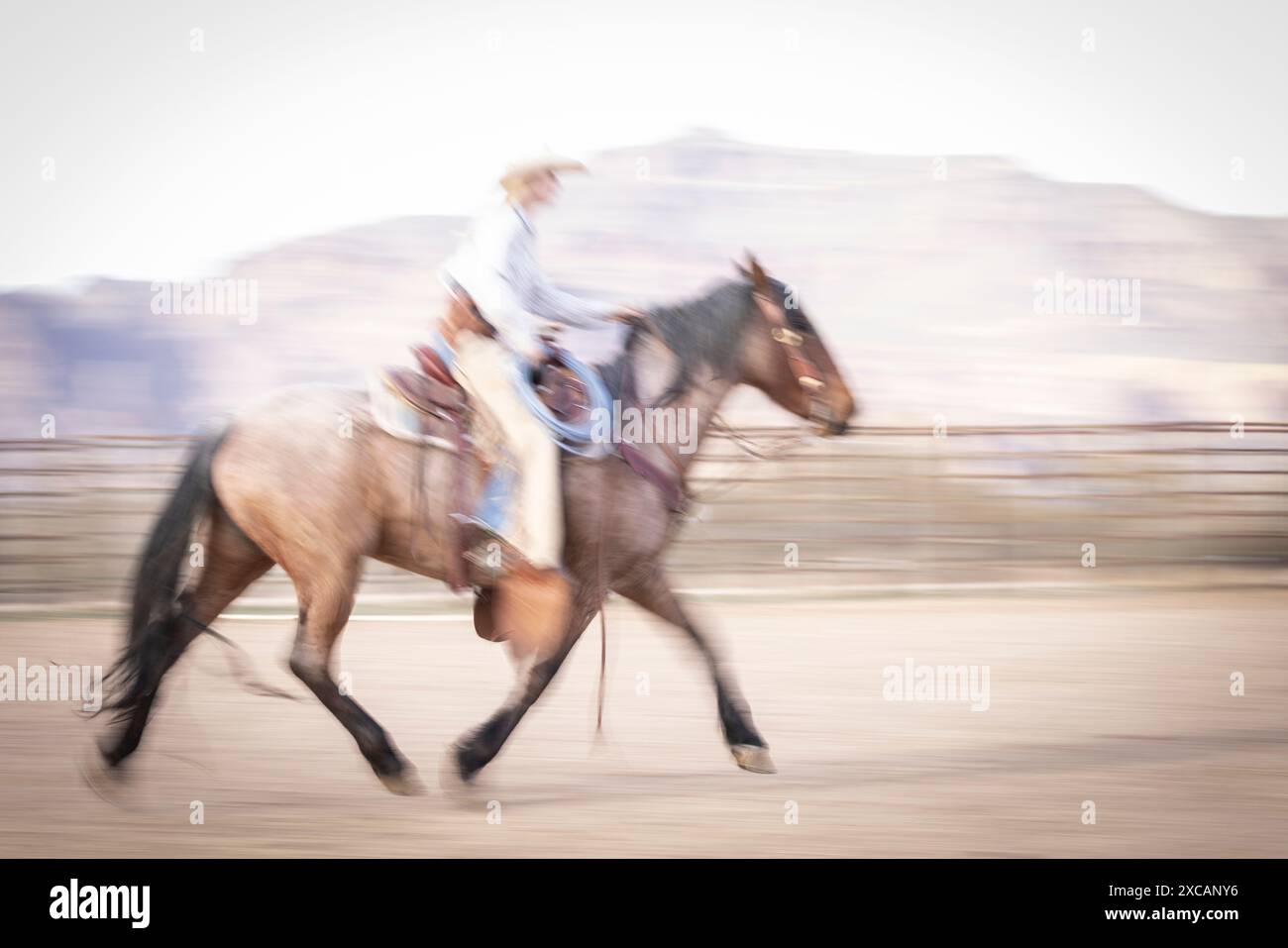 Female ranch hand, or cowgirl, riding horse on a ranch in Arizona, USA ...