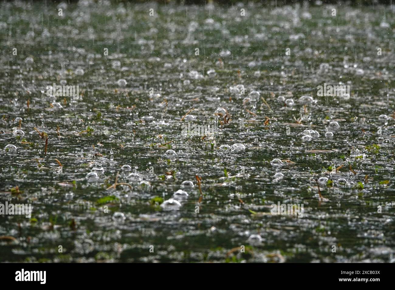 Rain on pond hi-res stock photography and images - Alamy