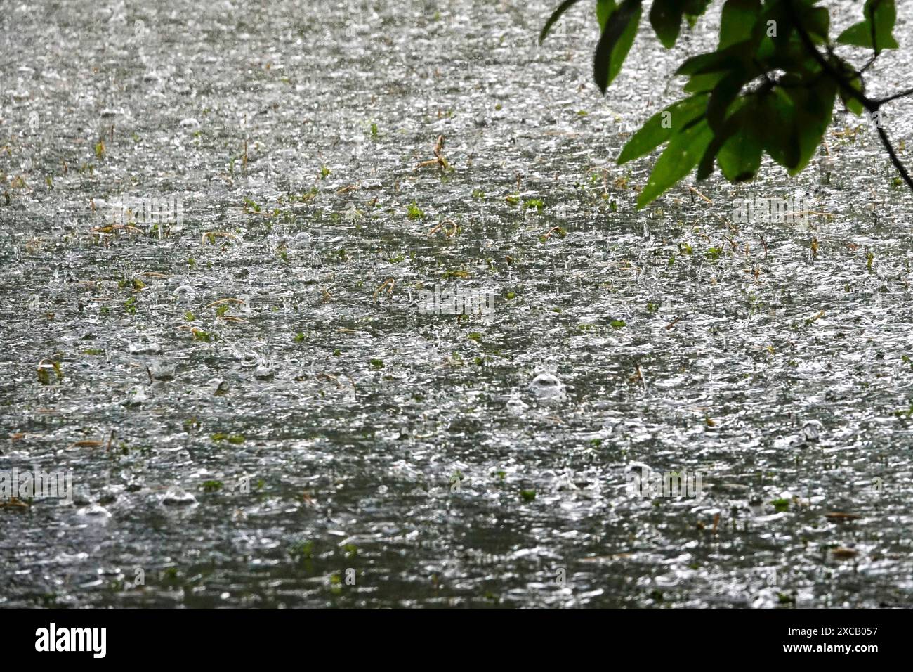 Rain on pond hi-res stock photography and images - Alamy