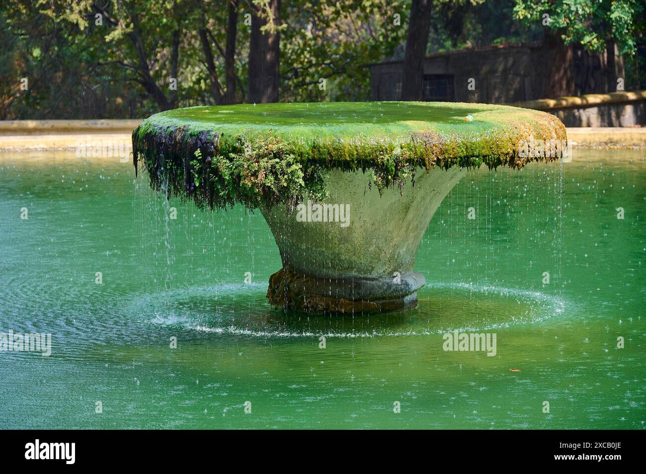 A moss-covered fountain in the centre of a green expanse of water ...