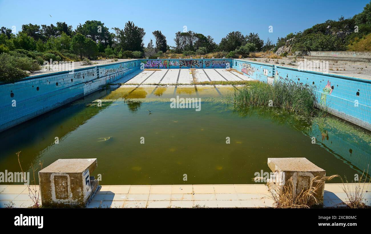 Abandoned swimming pool with graffiti and algae-filled water ...