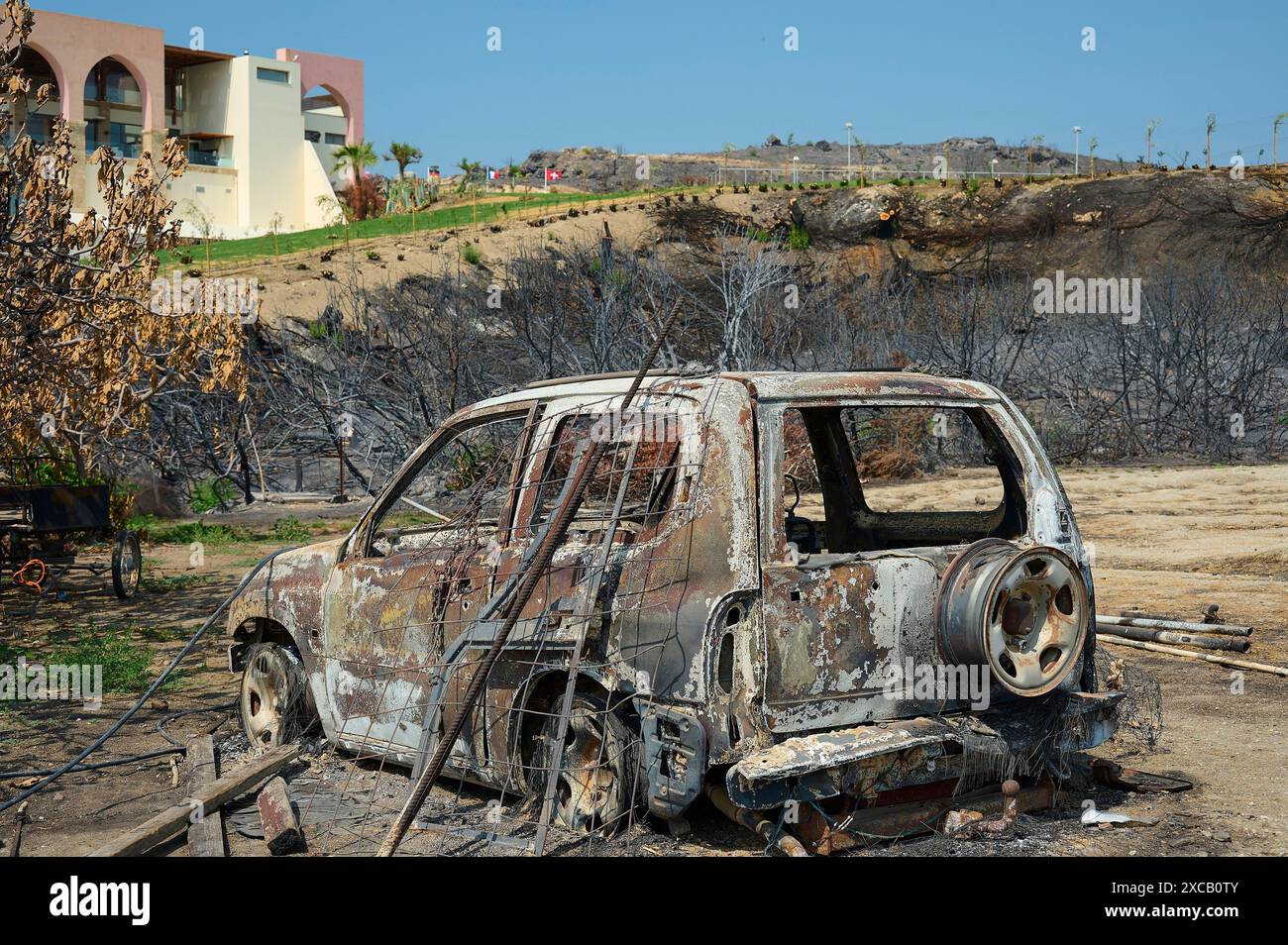 A burnt-out car stands in a destroyed landscape, destroyed trees and a ...