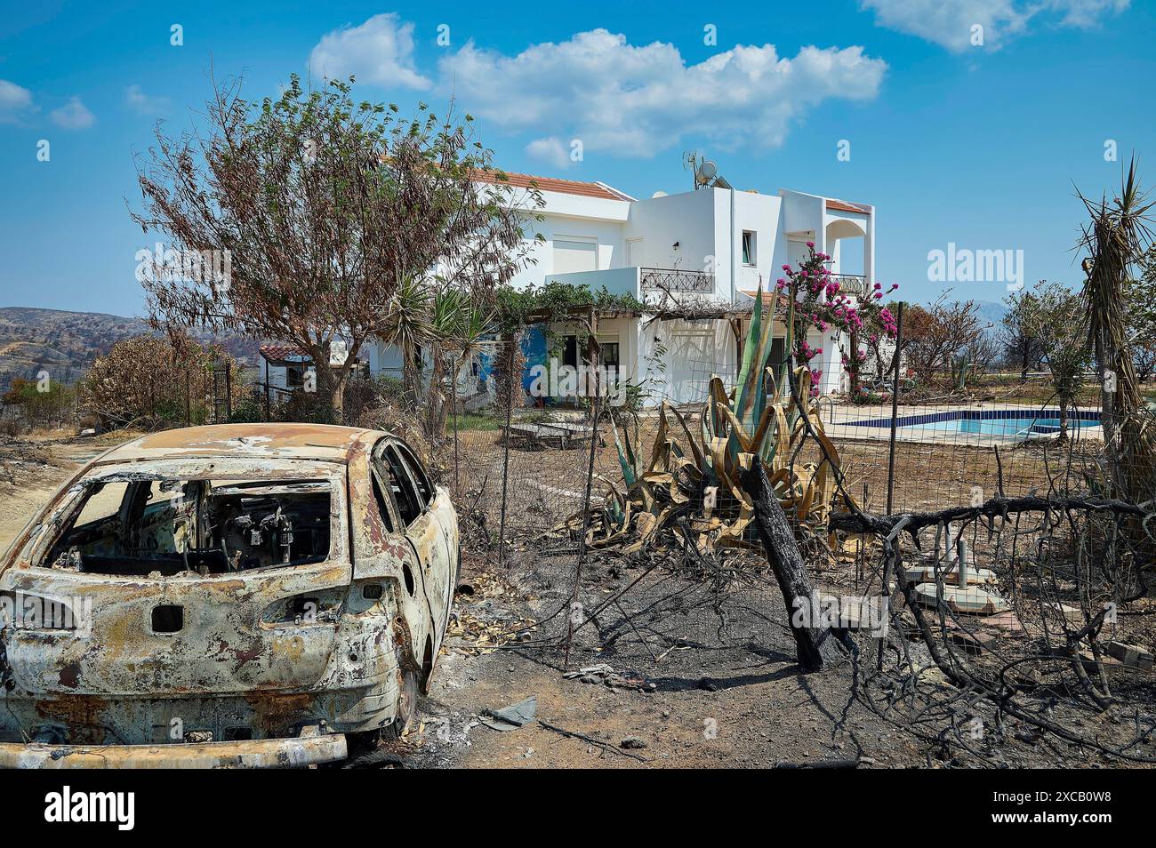 A burnt car next to a house with a pool, surrounded by burnt vegetation ...