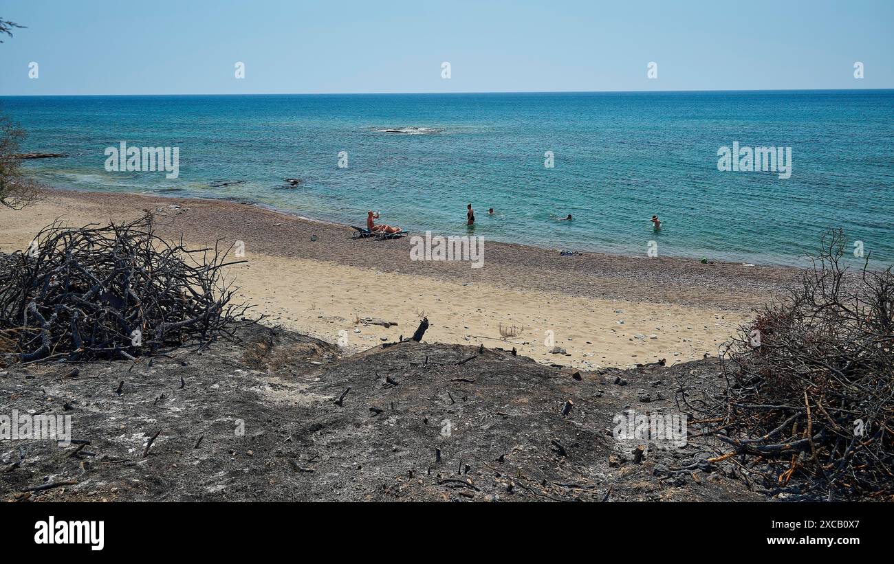 Beach scene with people in the sea, surrounded by burnt vegetation at ...