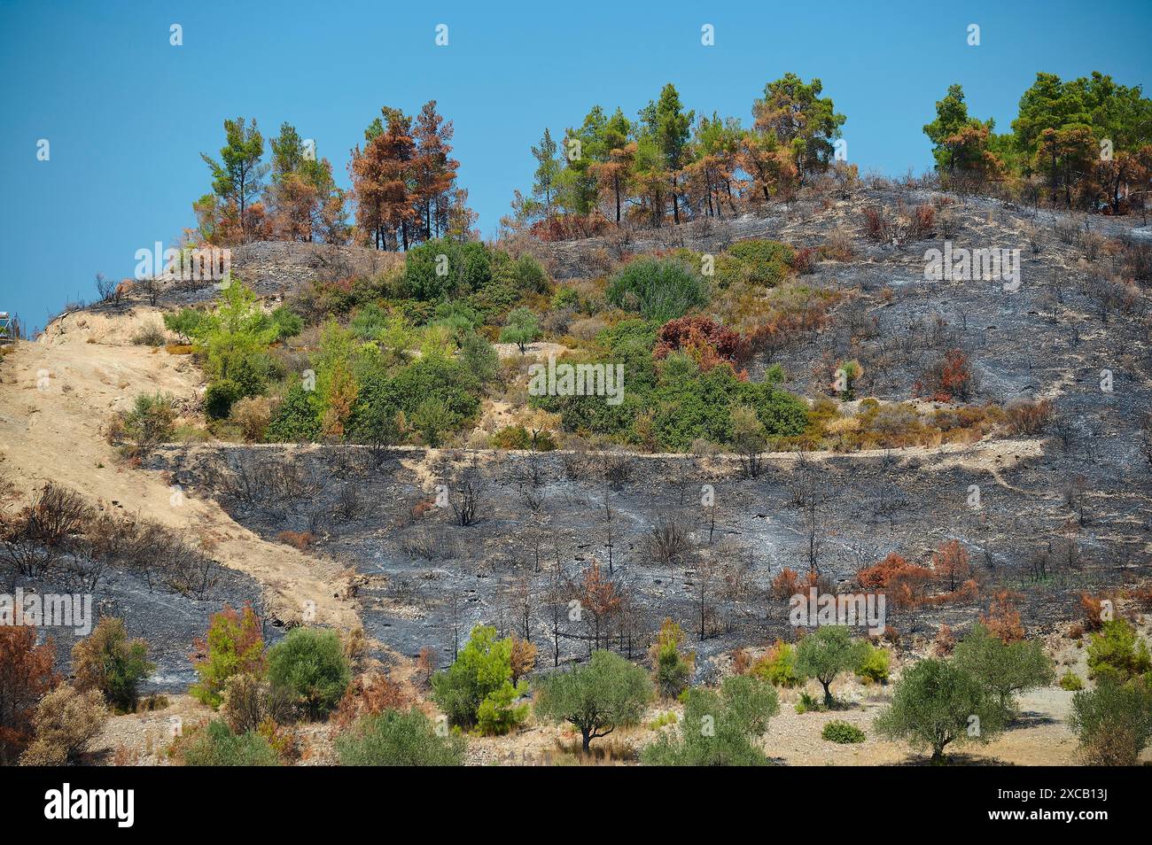 Burnt hill hi-res stock photography and images - Alamy