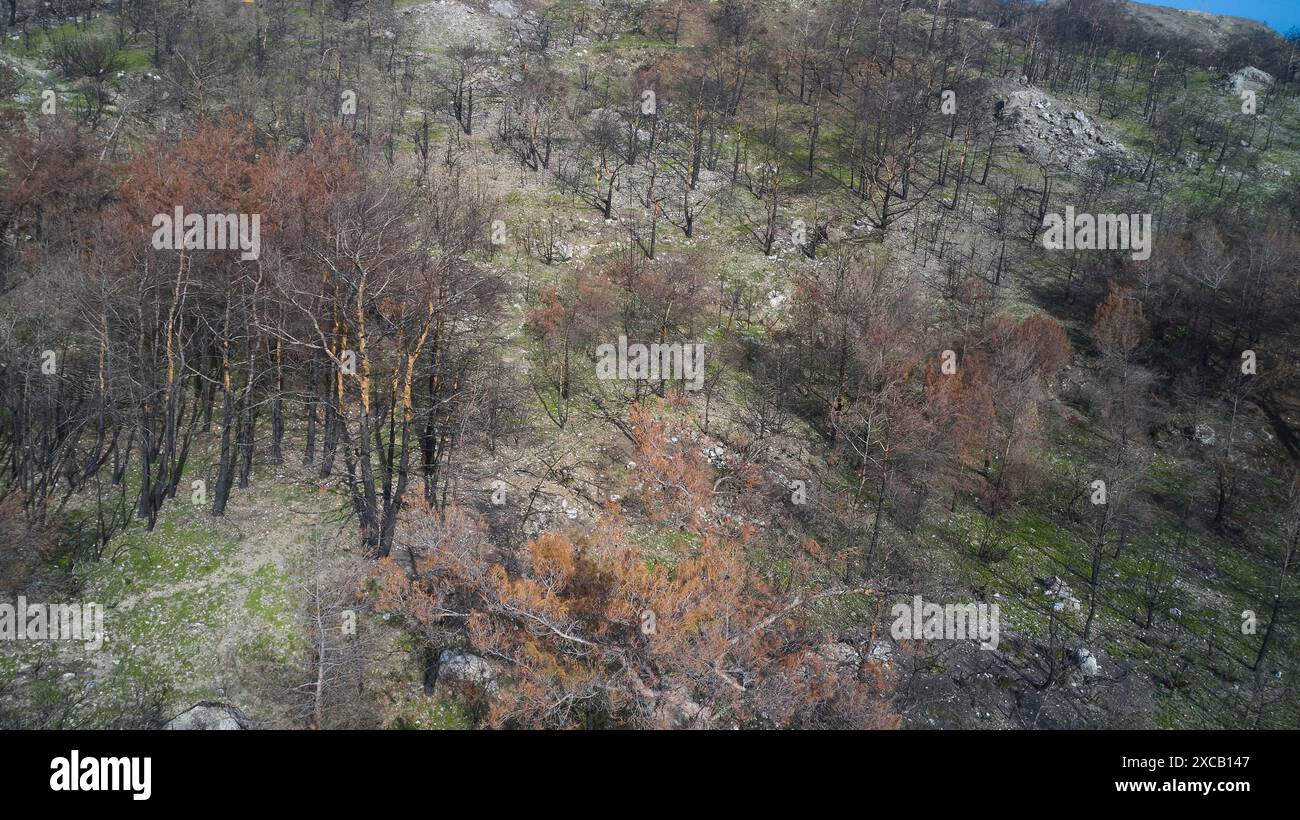 Steep slope vegetation hi-res stock photography and images - Alamy