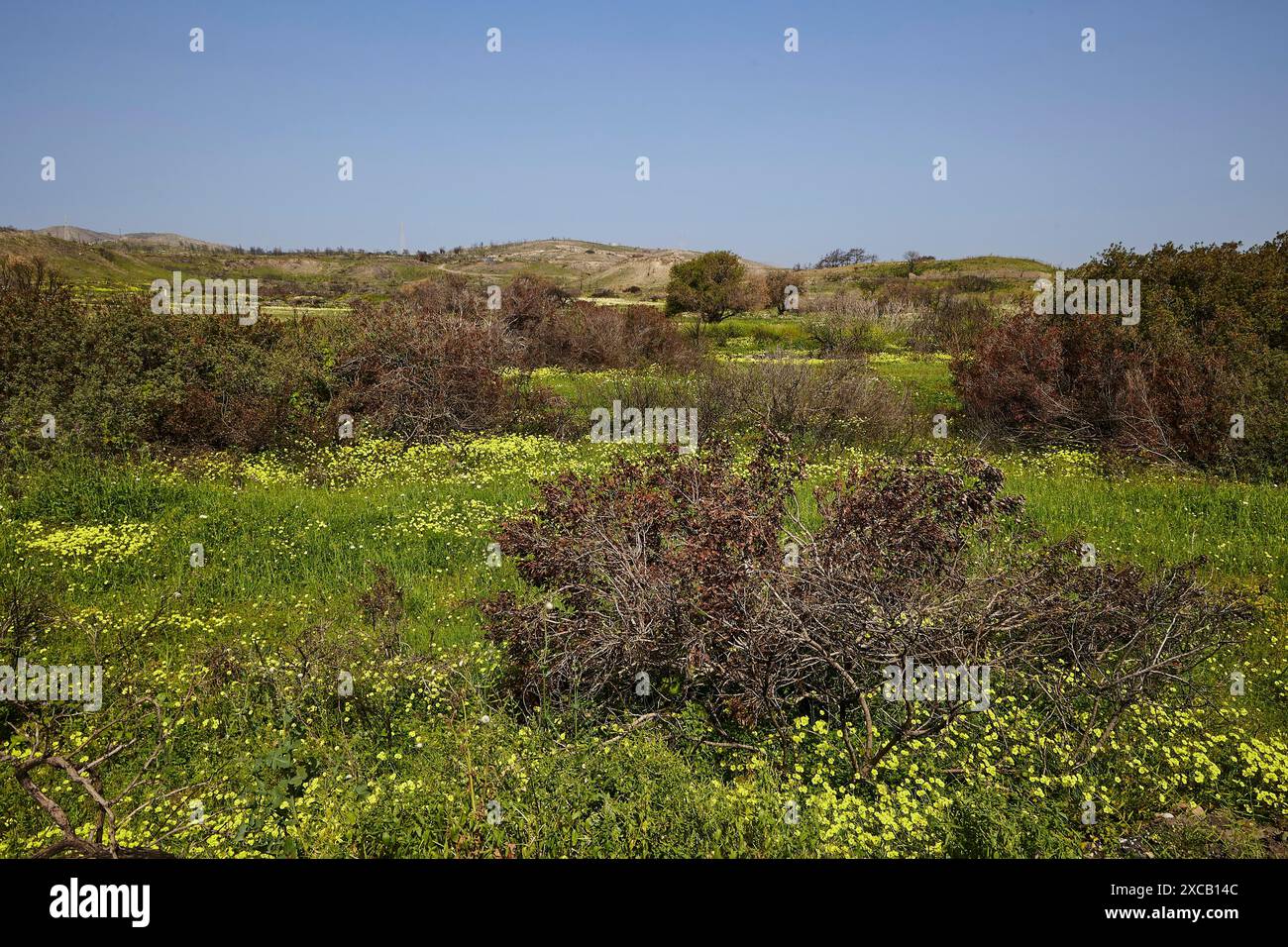 Rhodes wild fire hi-res stock photography and images - Alamy