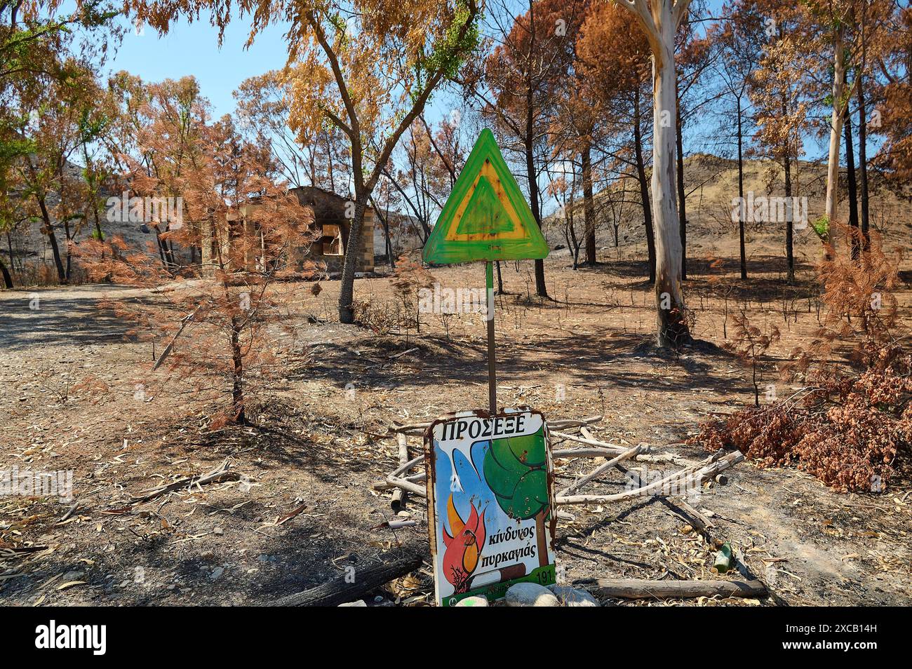 Warning sign in a scorched, desolate landscape with burnt trees, forest ...