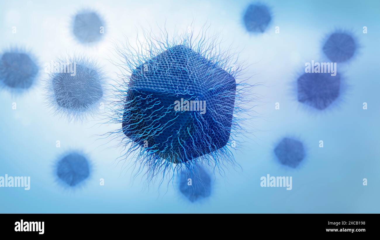 Illustration of the catovirus (CatV) Naegleria or the Naegleria virus ...
