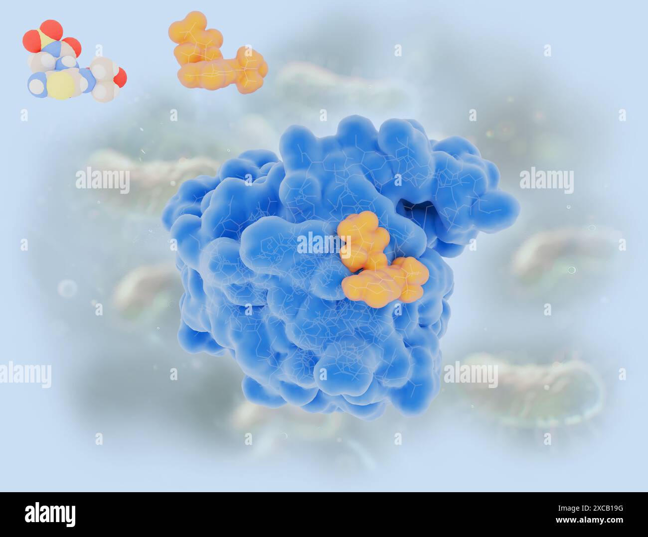Illustration showing aztreonam (orange), an antibiotic, being broken ...