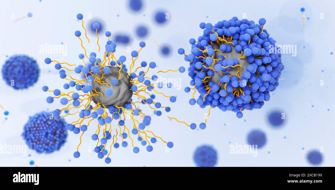 Illustration of soap molecules forming a micelle structure by ...