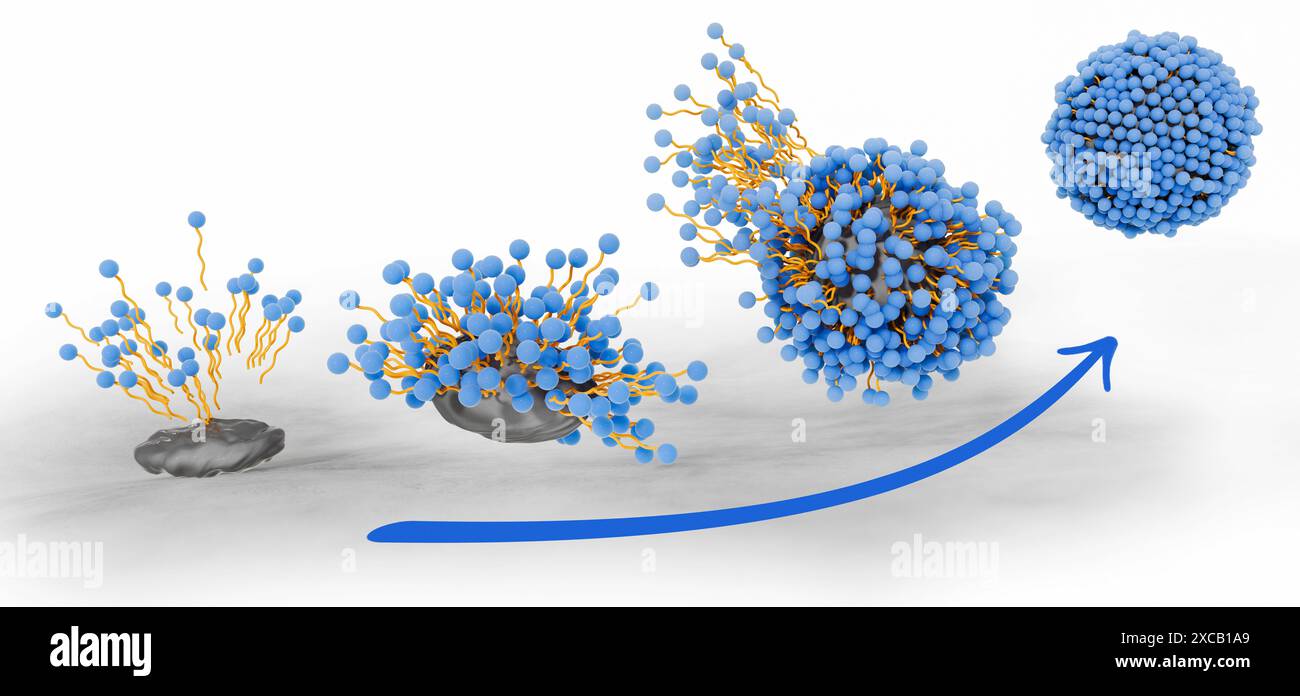 Illustration of soap molecules forming a micelle structure by ...
