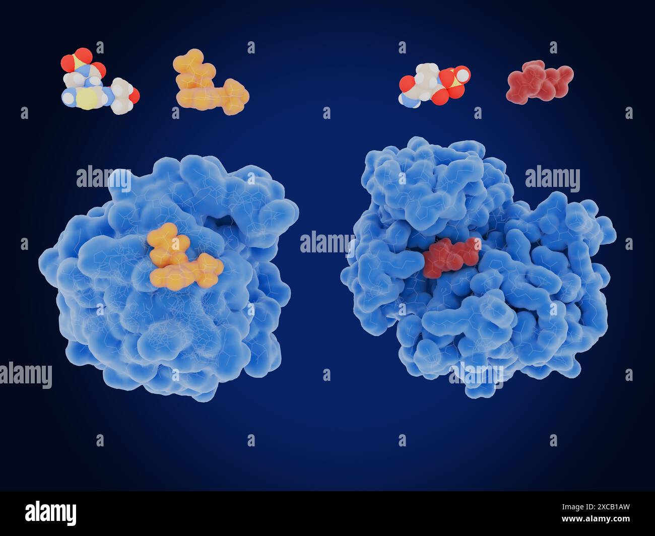 Illustration showing the antibiotic aztreonam (orange) and the drug ...