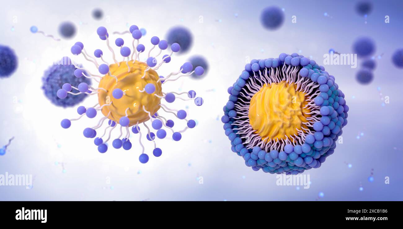 Illustration of soap molecules forming a micelle structure by ...